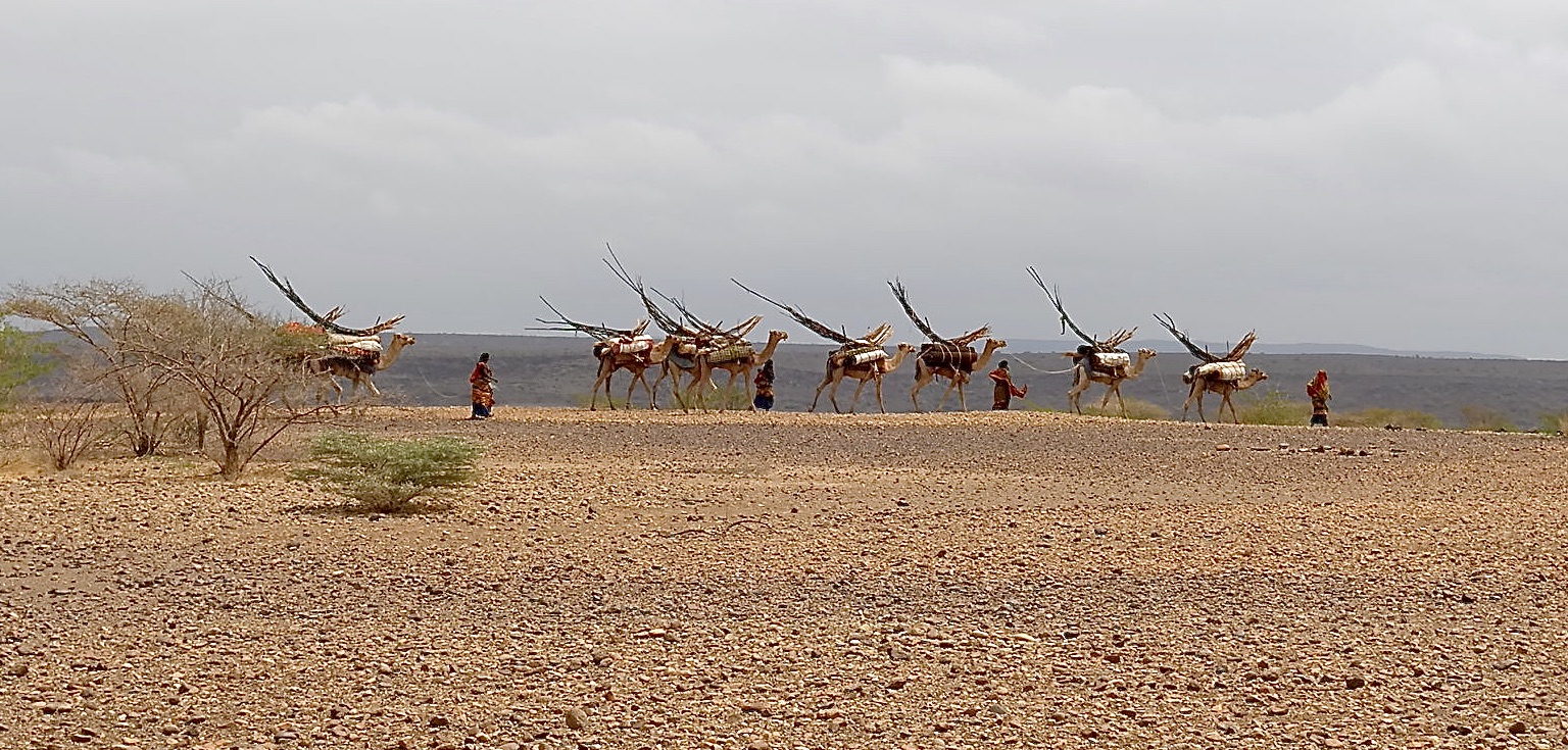 Ethiopia: out of the desert! – Planetb612