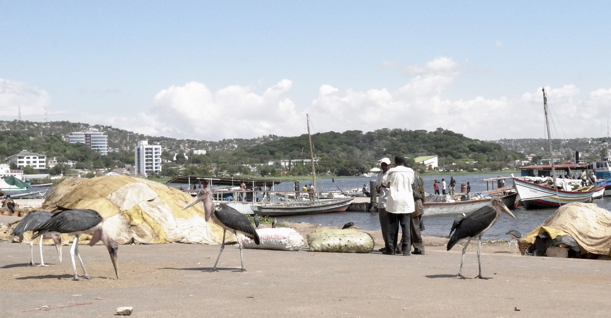 Tanzania: wandering around Mwanza – Planetb612